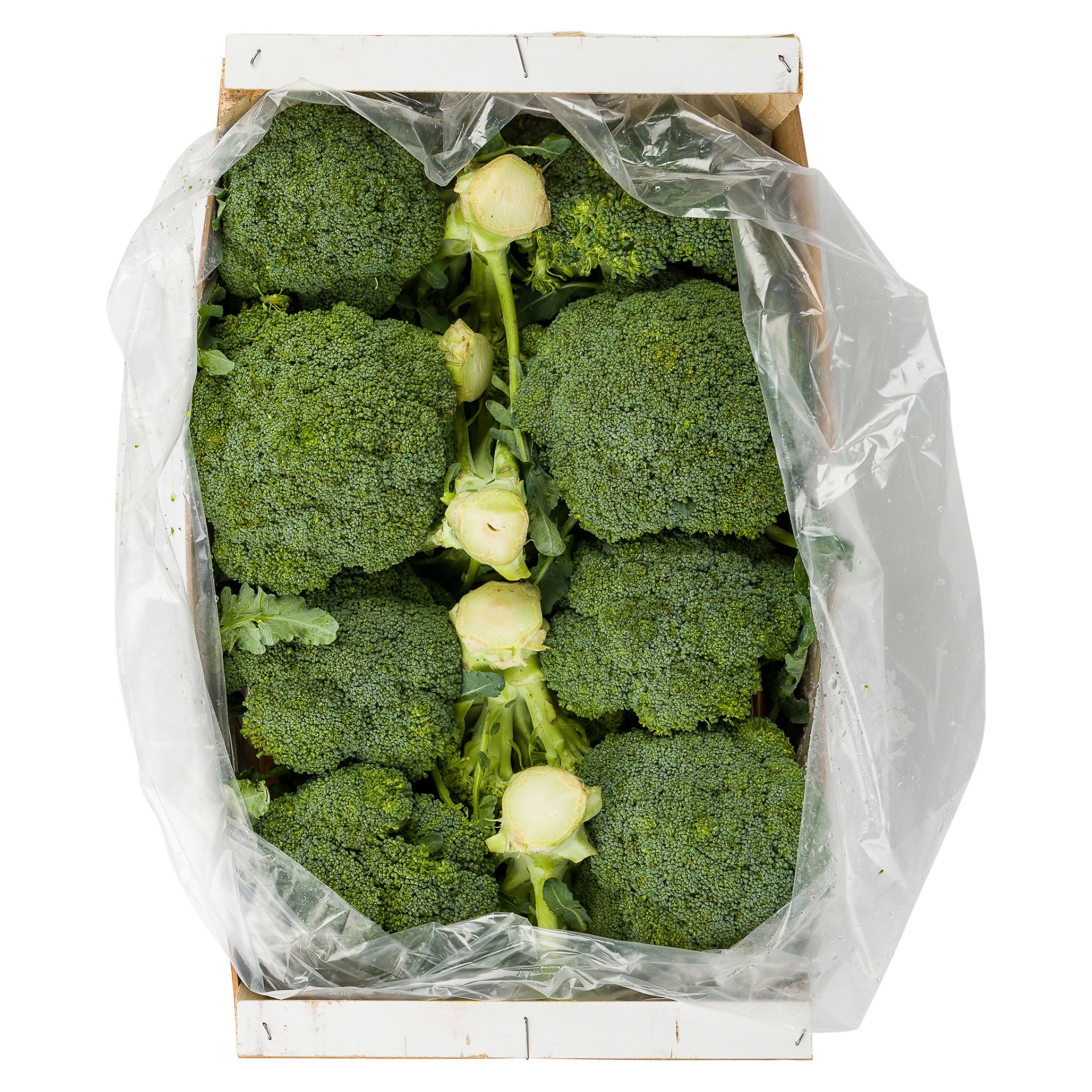 Broccoli per kilo | Albion Fine Foods Ltd.