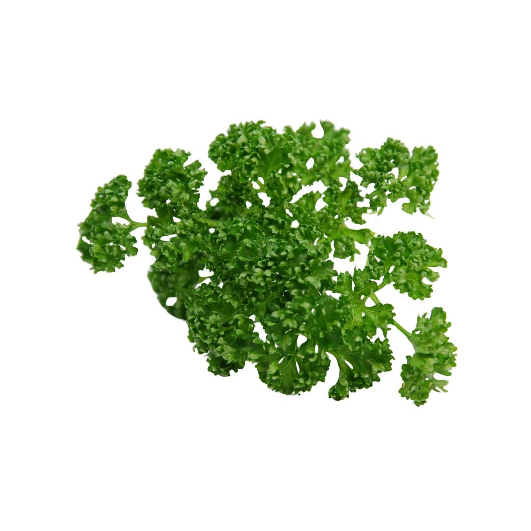 Parsley, Curly