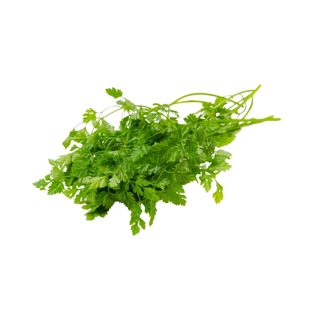 Chervil, Fresh