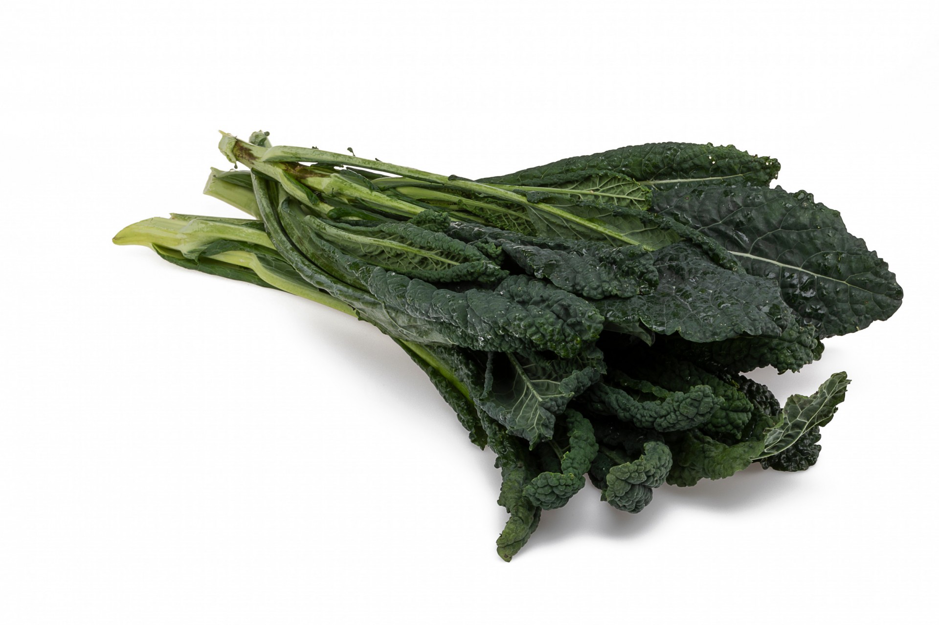 Cavolo Nero Cabbage kilo | Albion Fine Foods