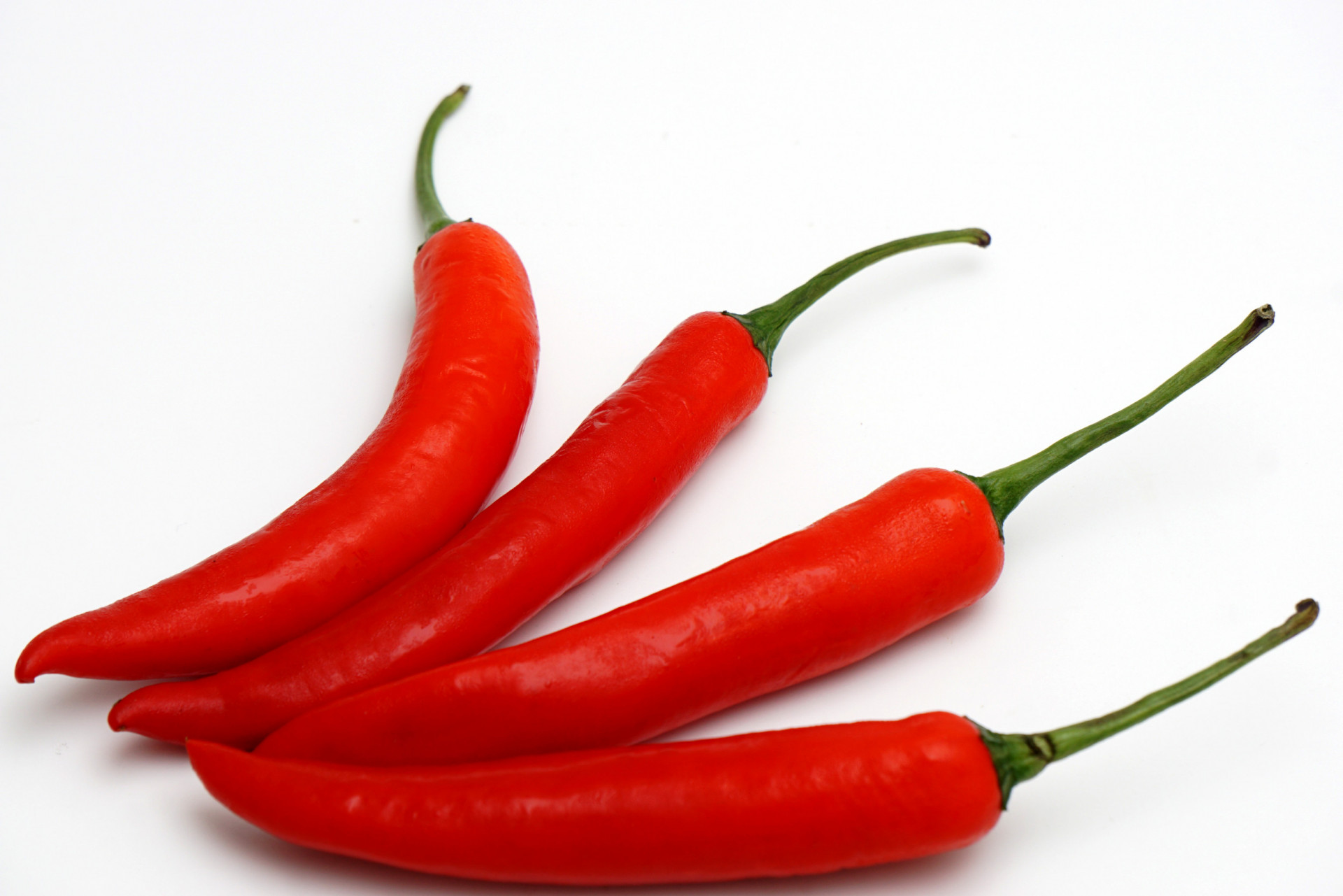 Pickled Red Chillies 1.55kg | Albion Fine Foods Ltd.