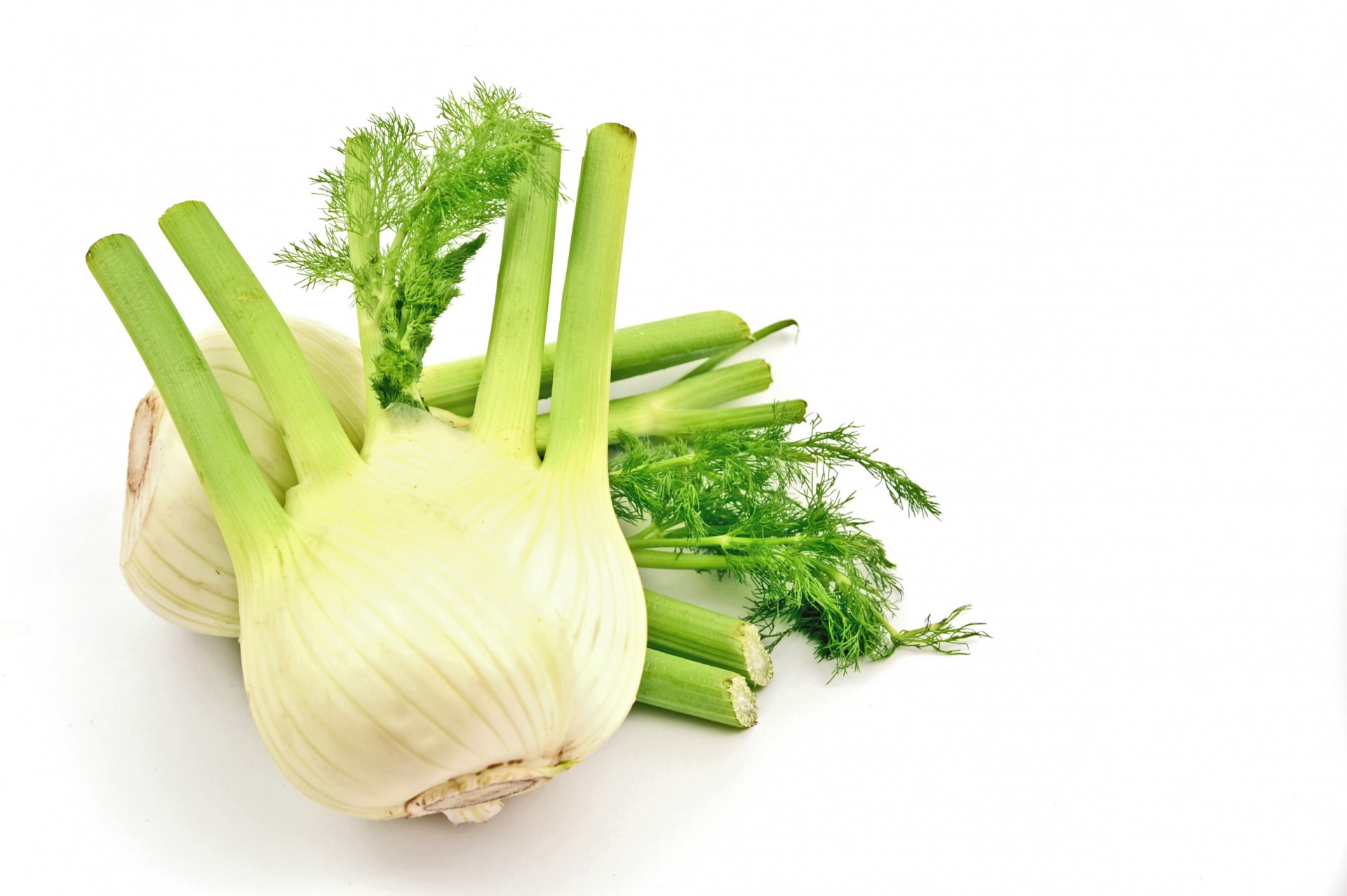 Fennel per kilo | Albion Fine Foods