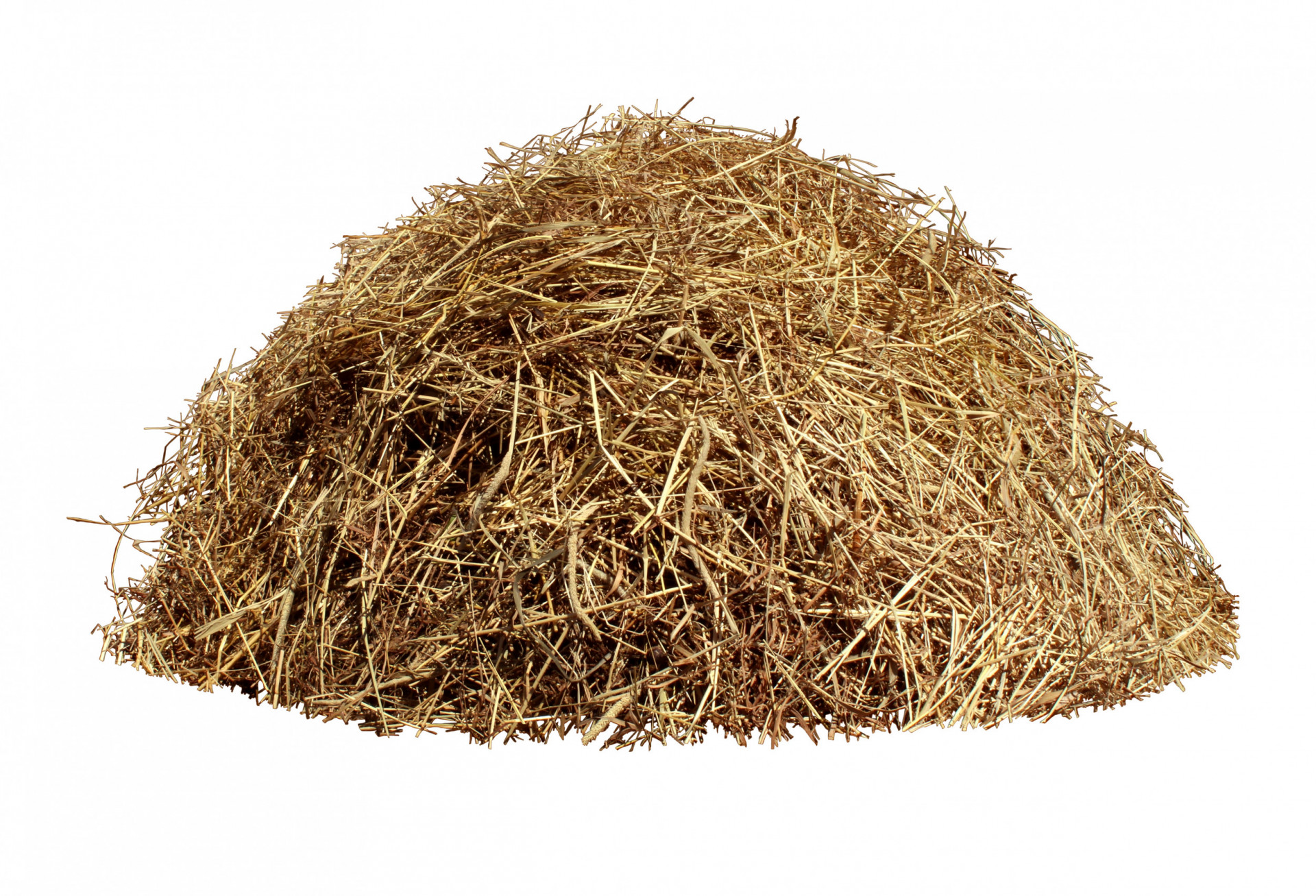 Hay 100g | Albion Fine Foods Ltd.