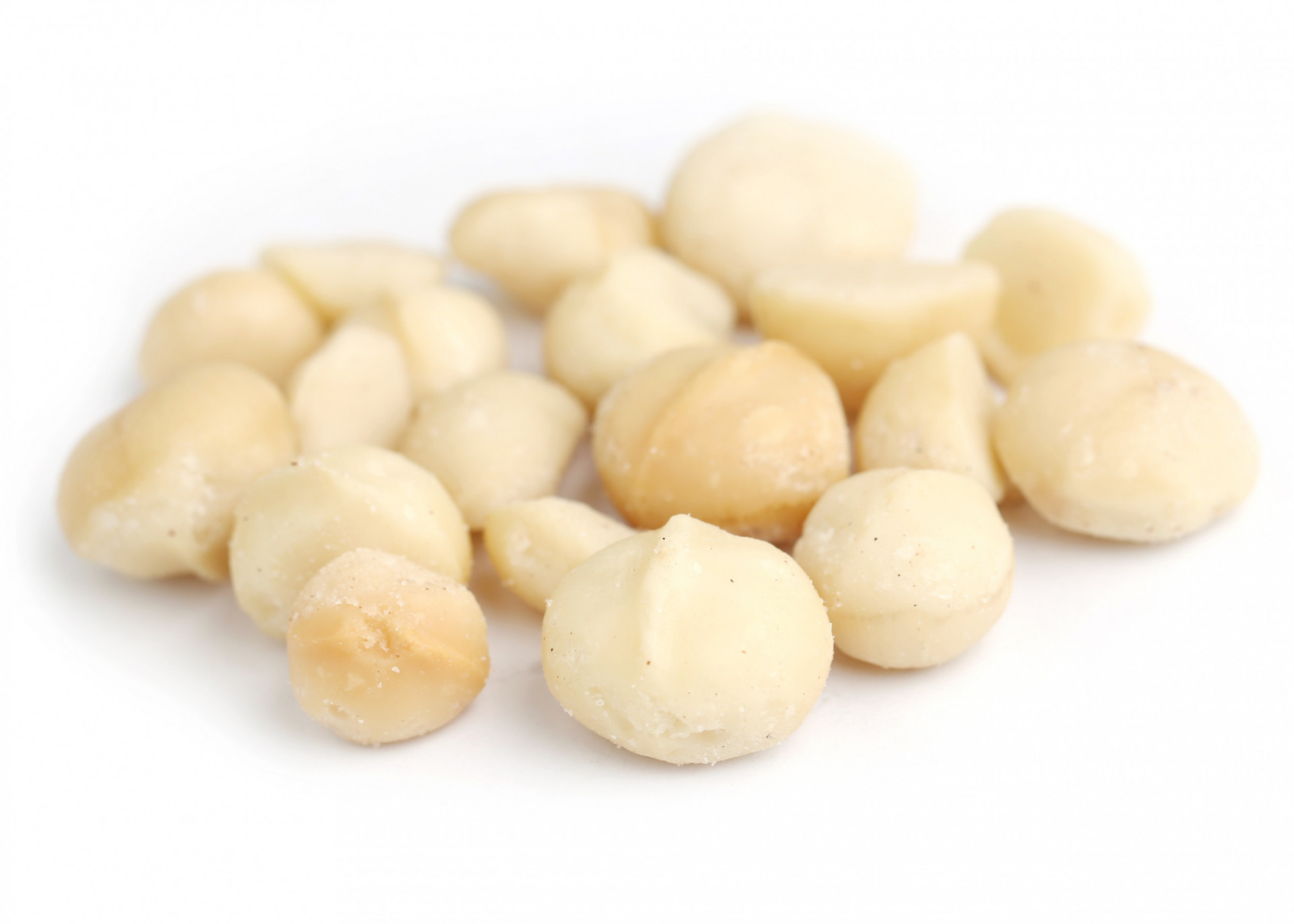 Macadamia Halves 1kg | Albion Fine Foods
