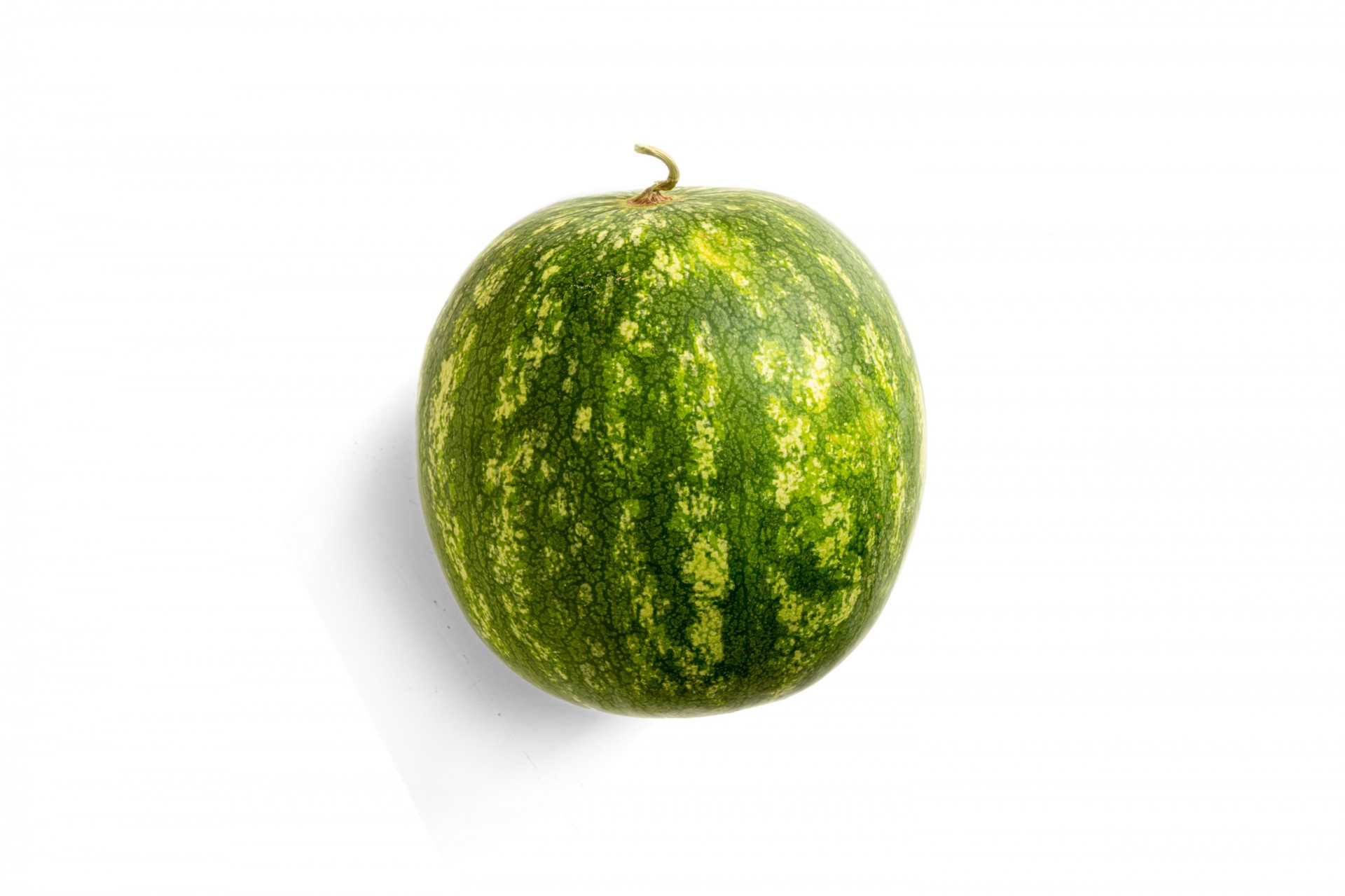Watermelon Baby 2kg+ | Albion Fine Foods