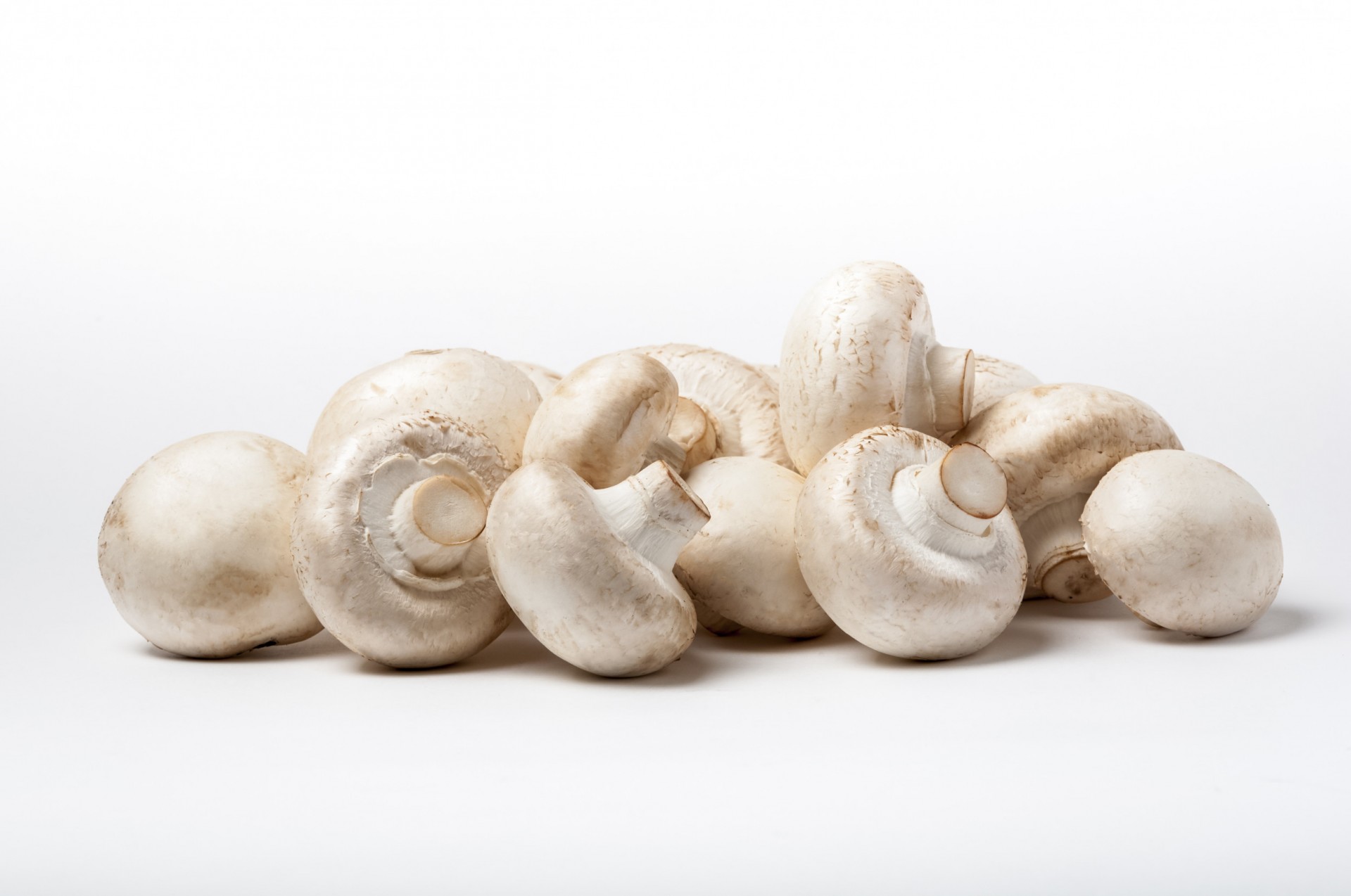 Button Mushroom 2.5kg | Albion Fine Foods