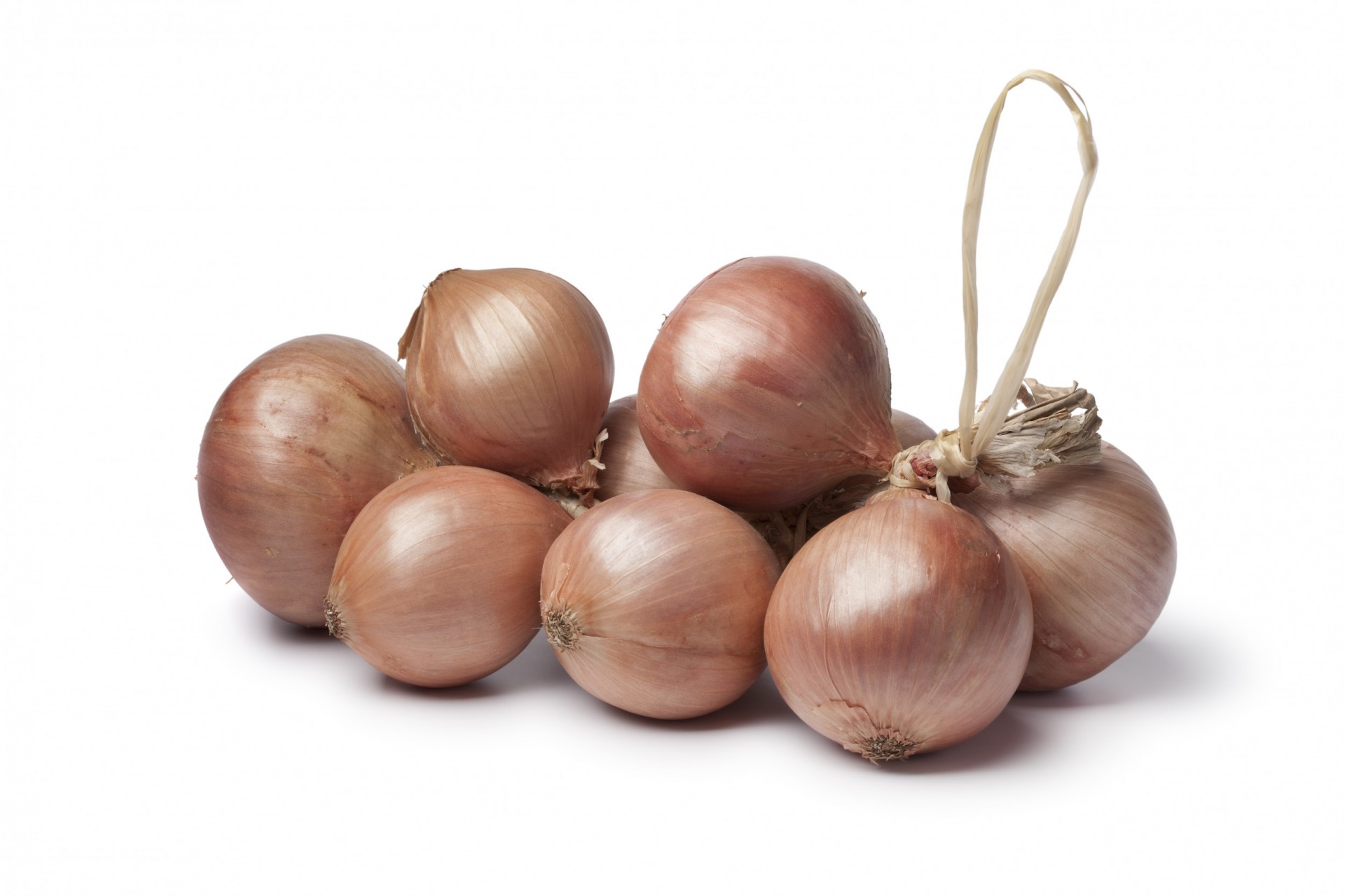Rose Roscoff Onions kilo | Albion Fine Foods