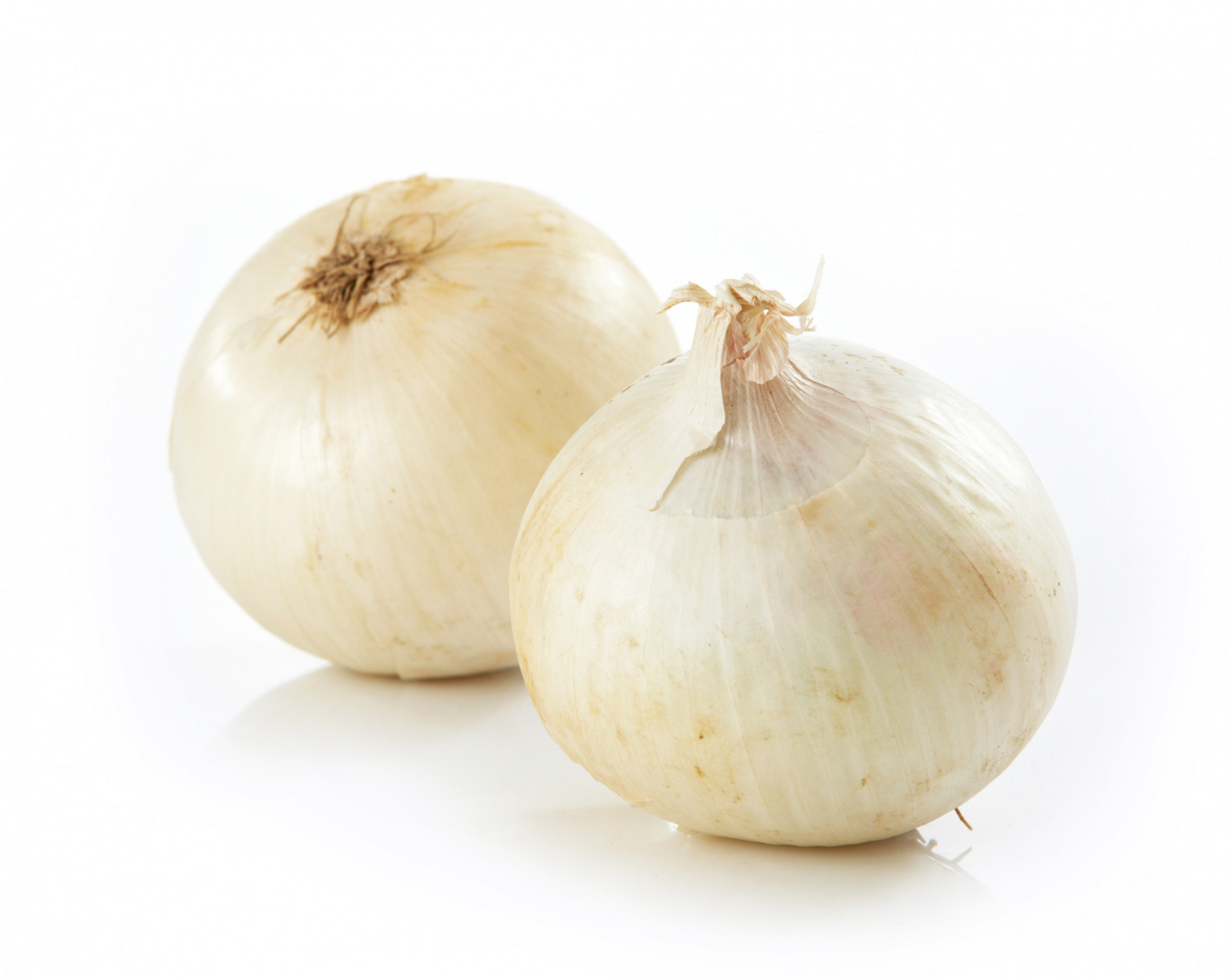 White Onions 1kg | Albion Fine Foods