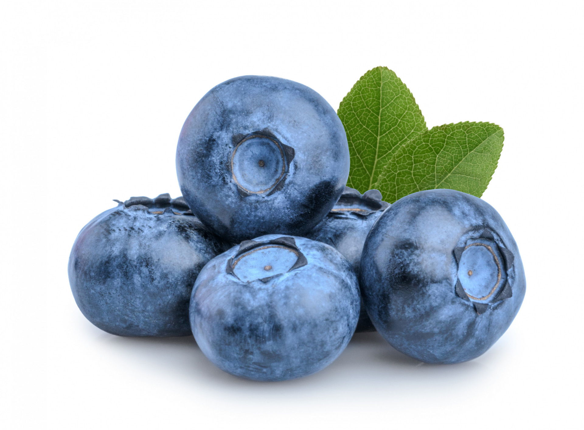 Puree Blueberry, Frozen - Boiron 1kg | Albion Fine Foods Ltd.