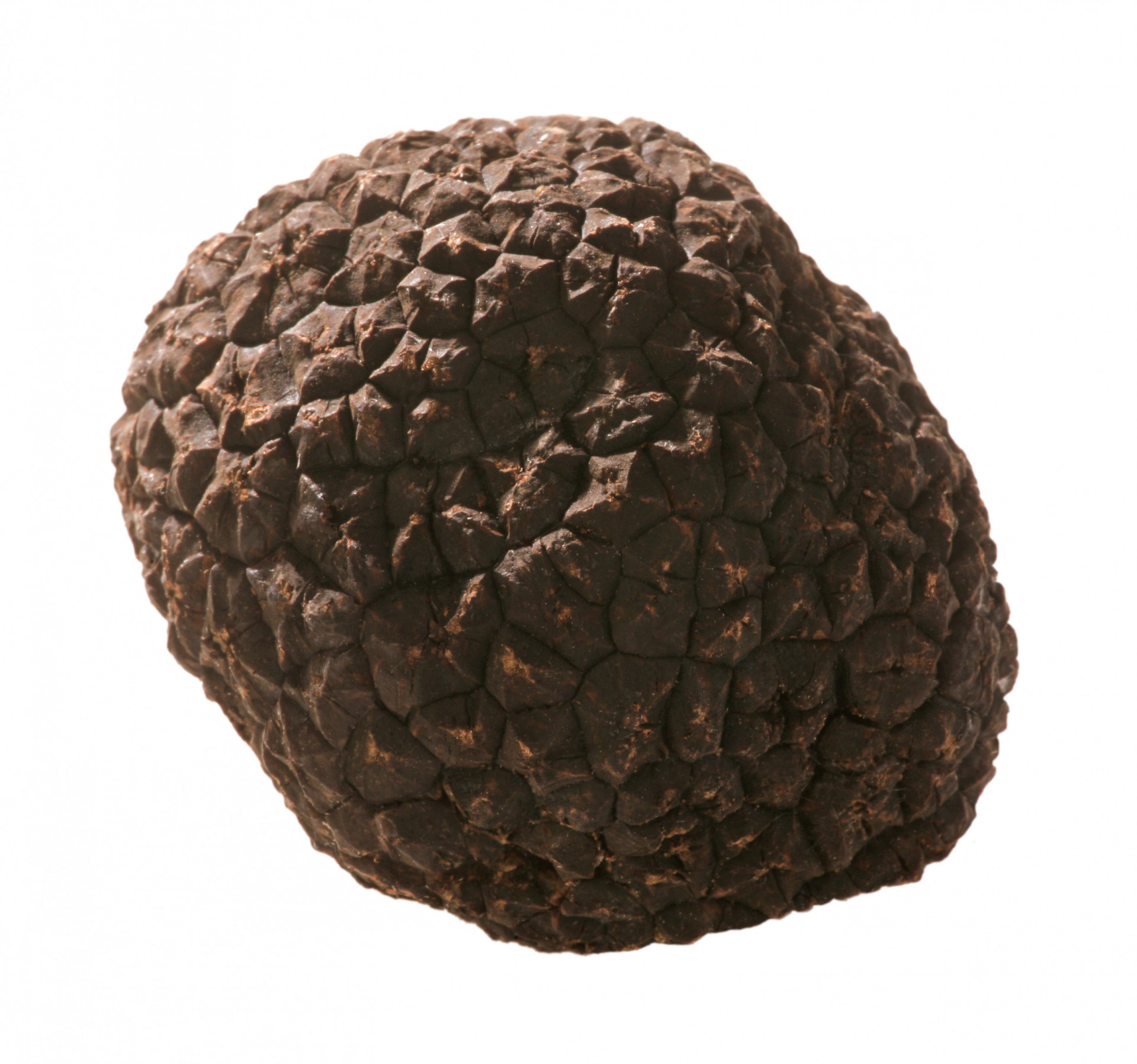 Black Truffle Paste | Albion Fine Foods