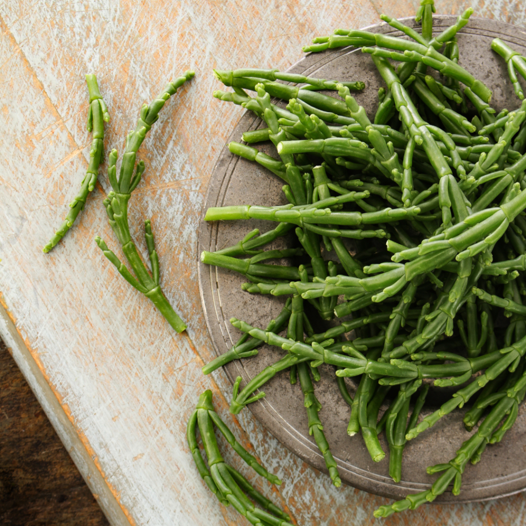 Samphire per kilo | Albion Fine Foods Ltd.