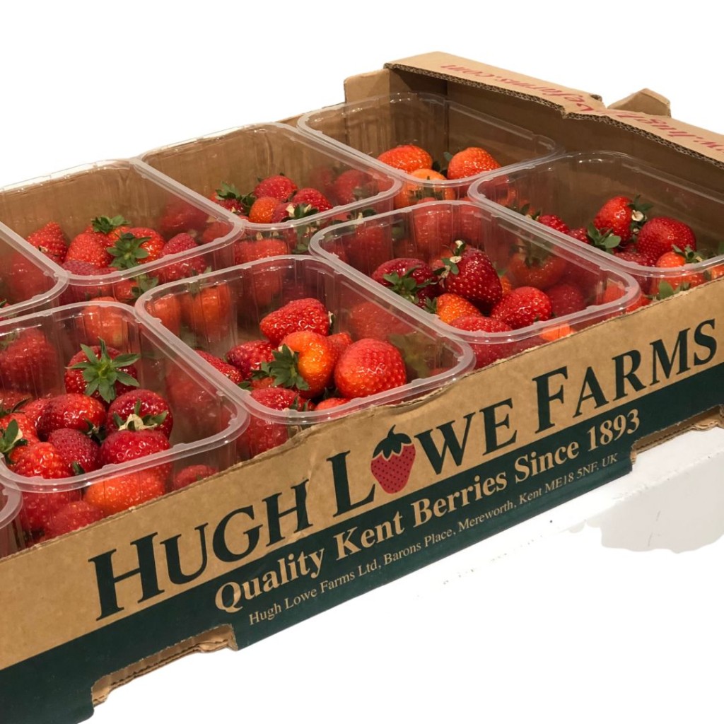 Strawberry Punnet Kentish, Fresh 300g | Albion Fine Foods Ltd.