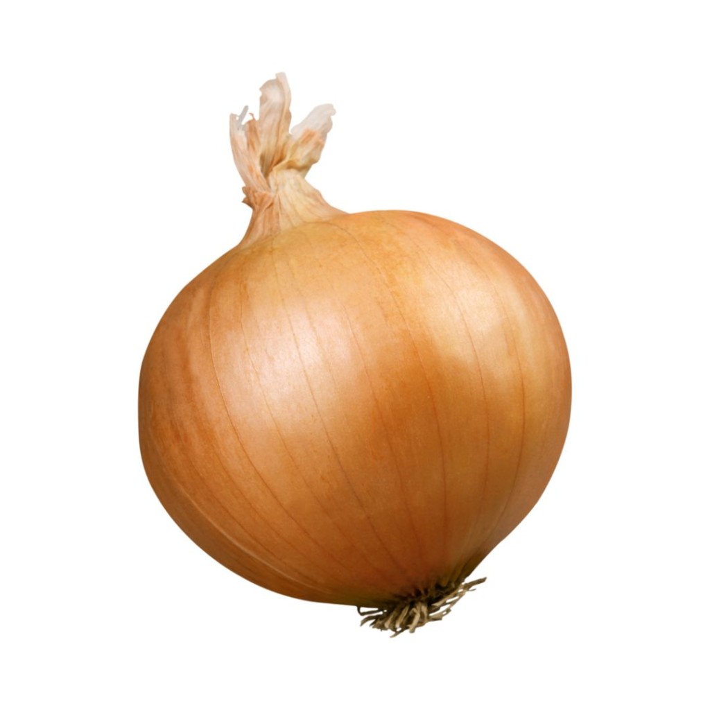 Onion, Large