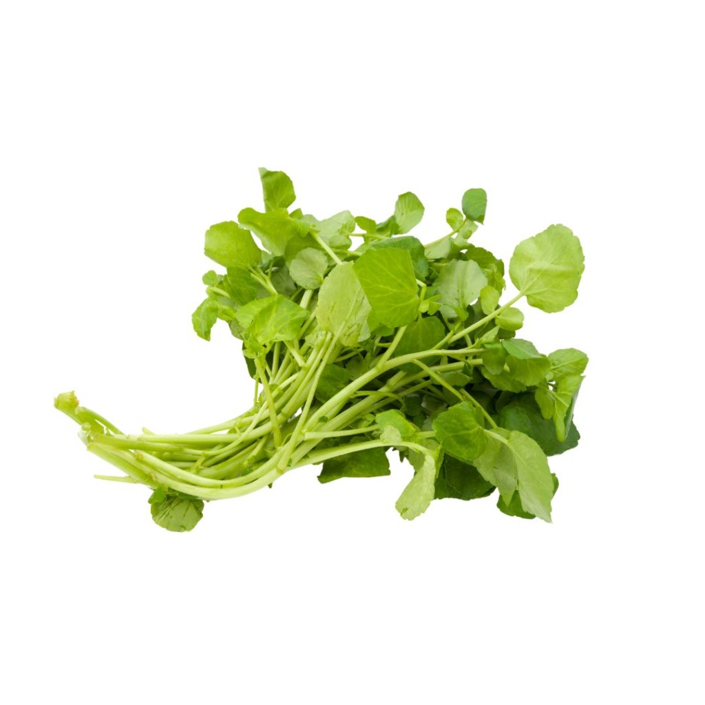 Watercress, Fresh