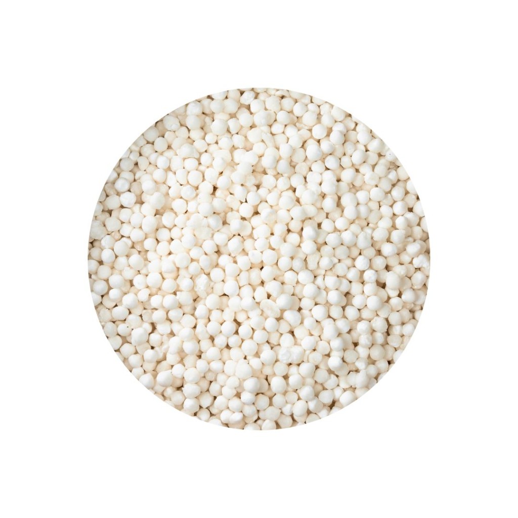 Sago Seeds