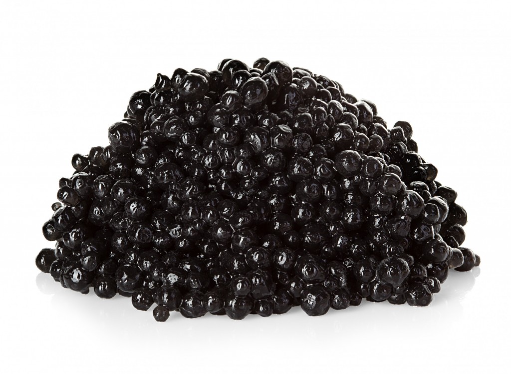 Caviar Tin Exmoor 30g | Albion Fine Foods