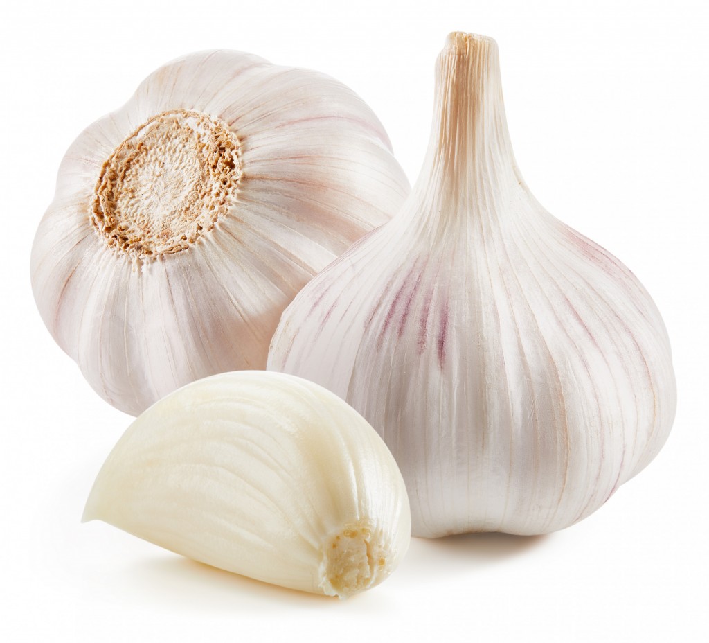 White Garlic kilo | Albion Fine Foods