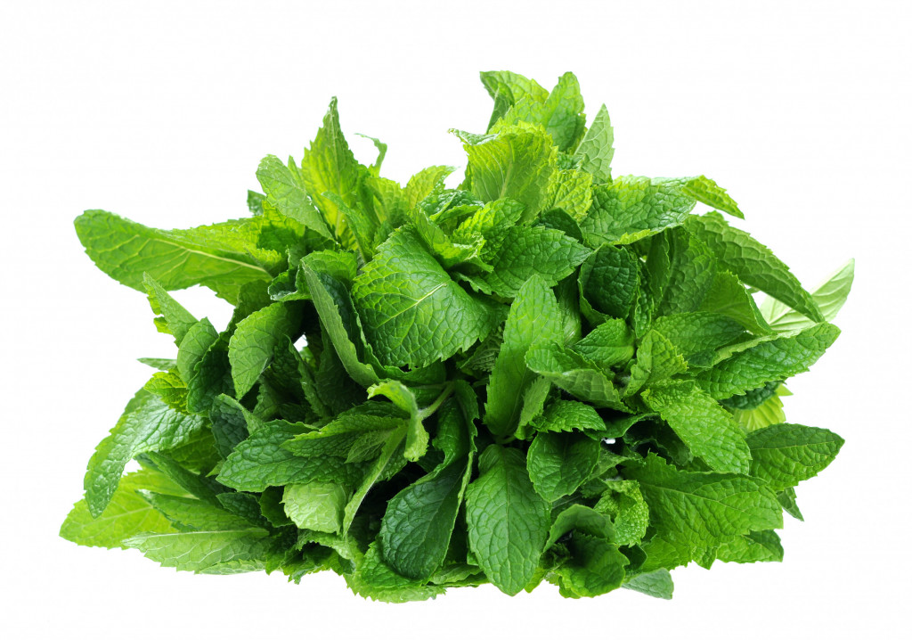 Mint Bunch 100g | Albion Fine Foods
