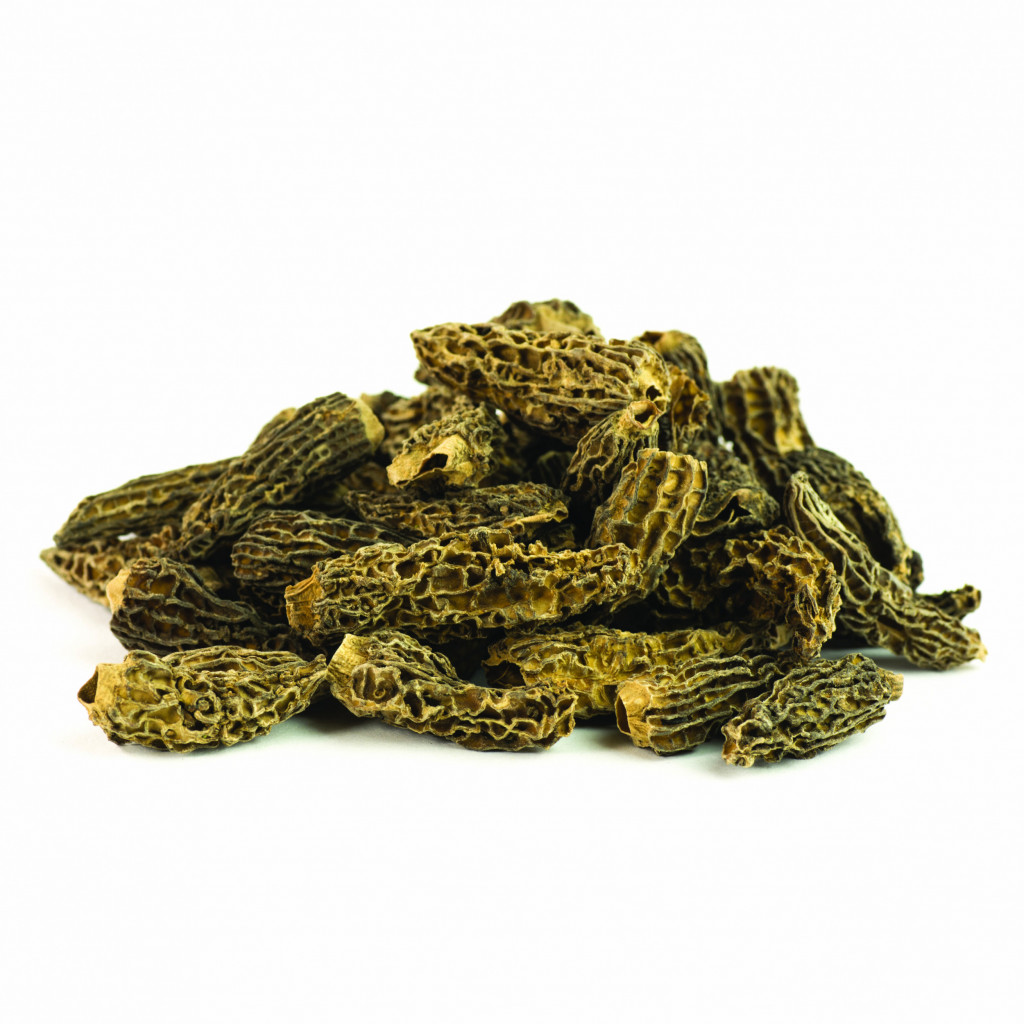 Mushrooms Morelles Dried 100g | Albion Fine Foods Ltd.