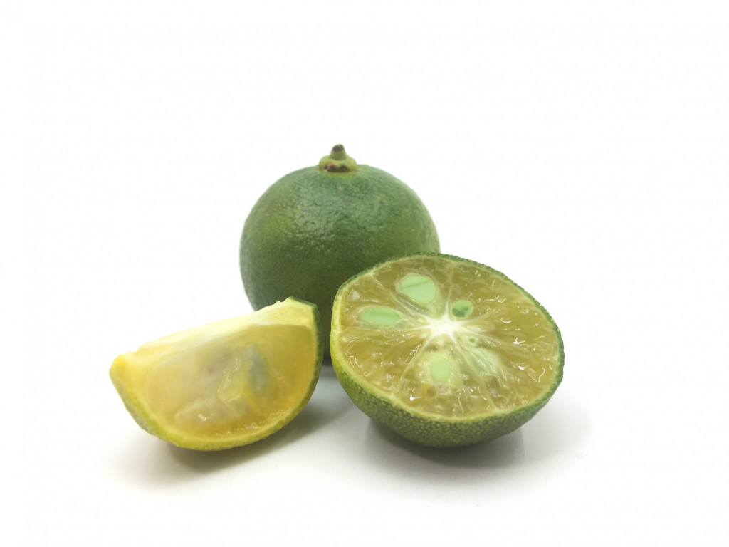 Puree Kalamansi, Frozen - Boiron 1kg | Albion Fine Foods Ltd.