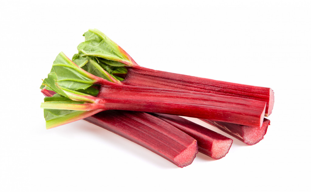 Puree Rhubarb, Frozen - Boiron 1kg | Albion Fine Foods Ltd.