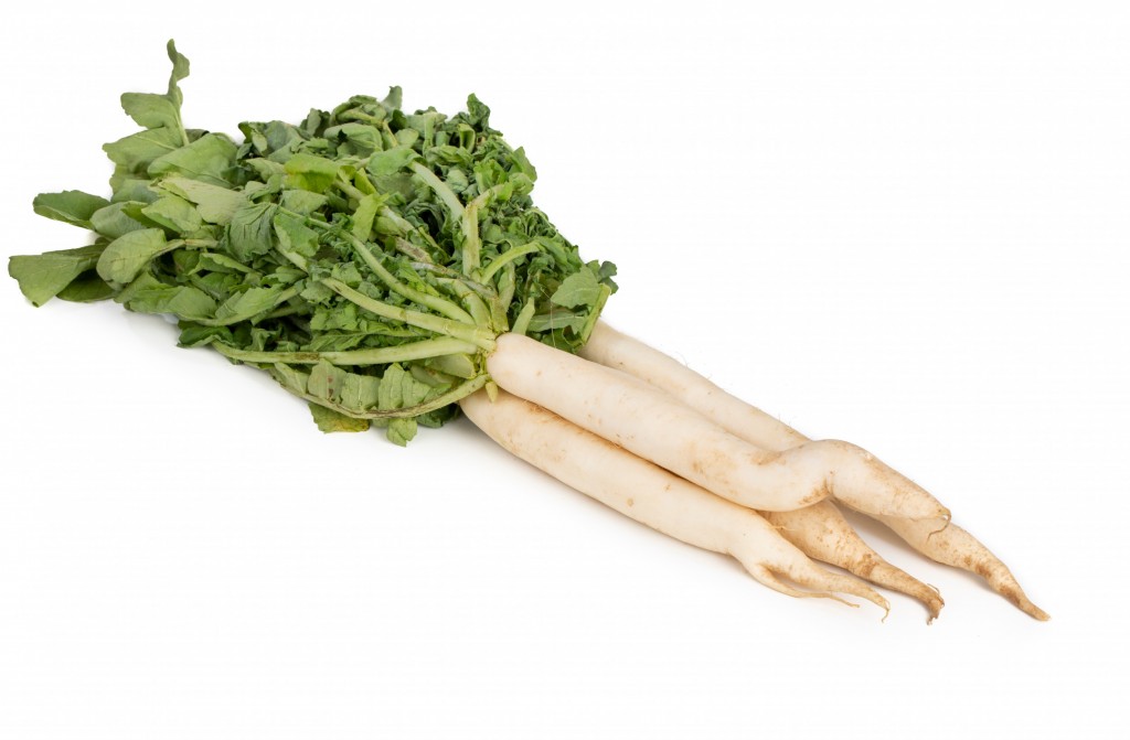 Radish Mooli White kilo | Albion Fine Foods