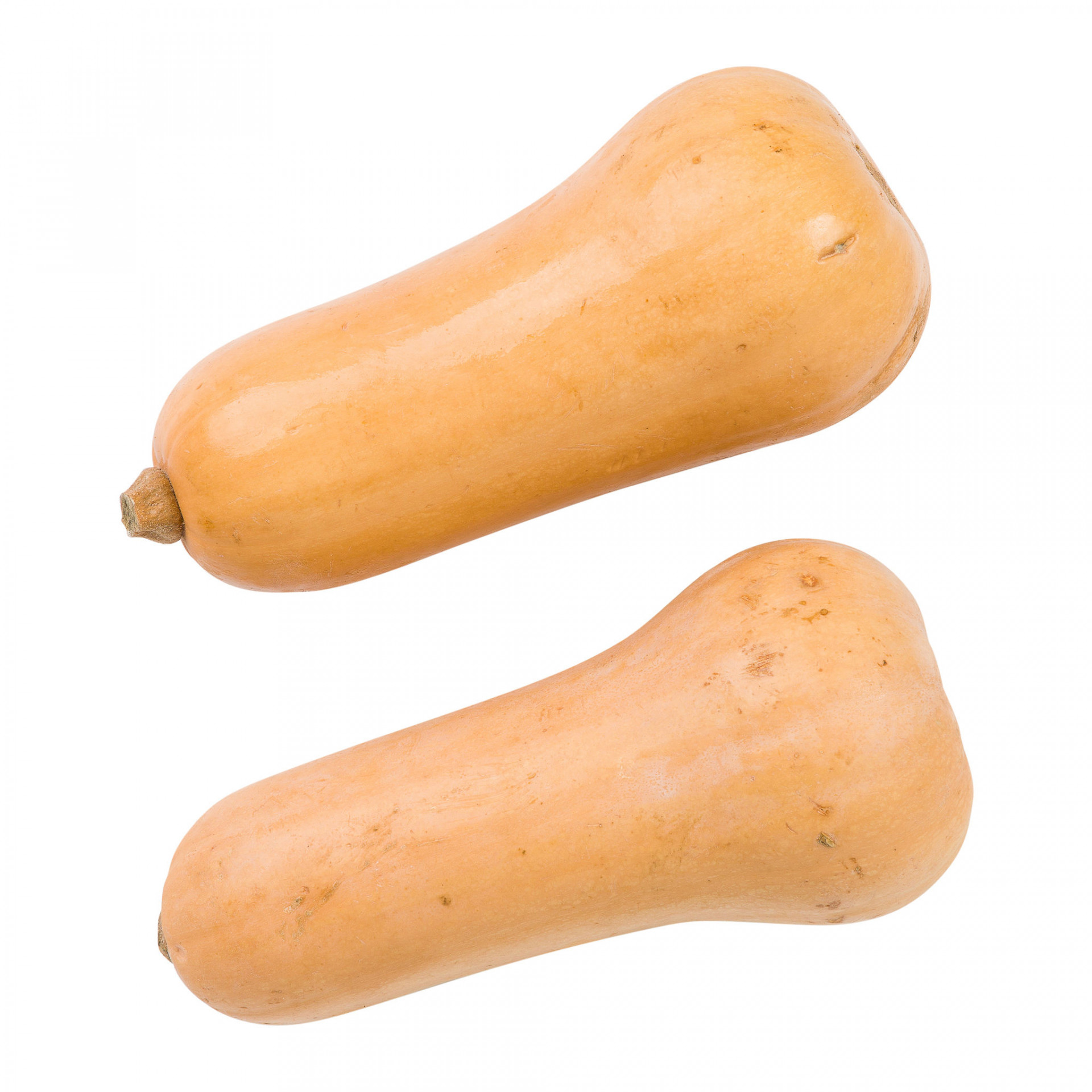 Butternut Squash per kilo | Albion Fine Foods Ltd.