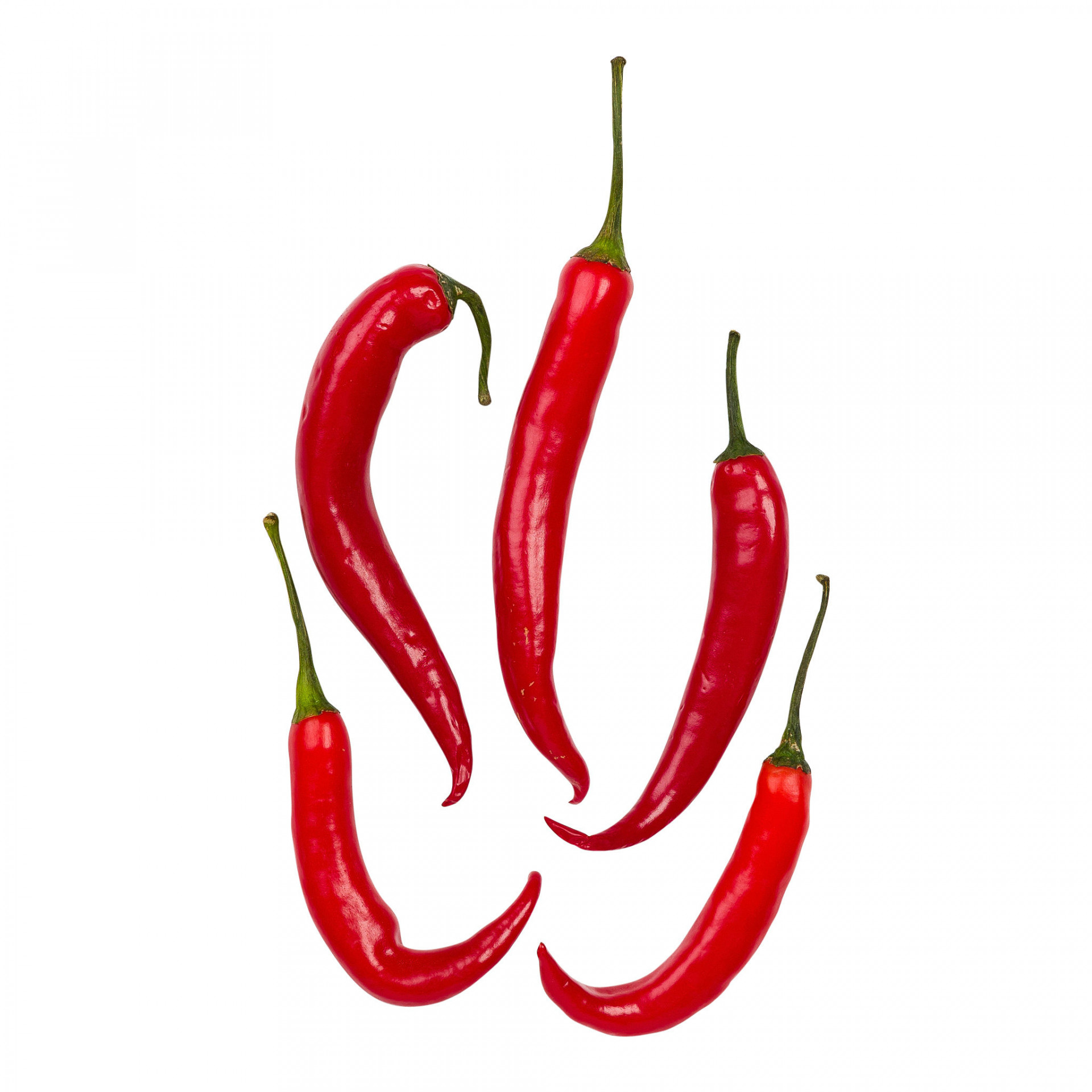 Chillis Red per kilo | Albion Fine Foods Ltd.