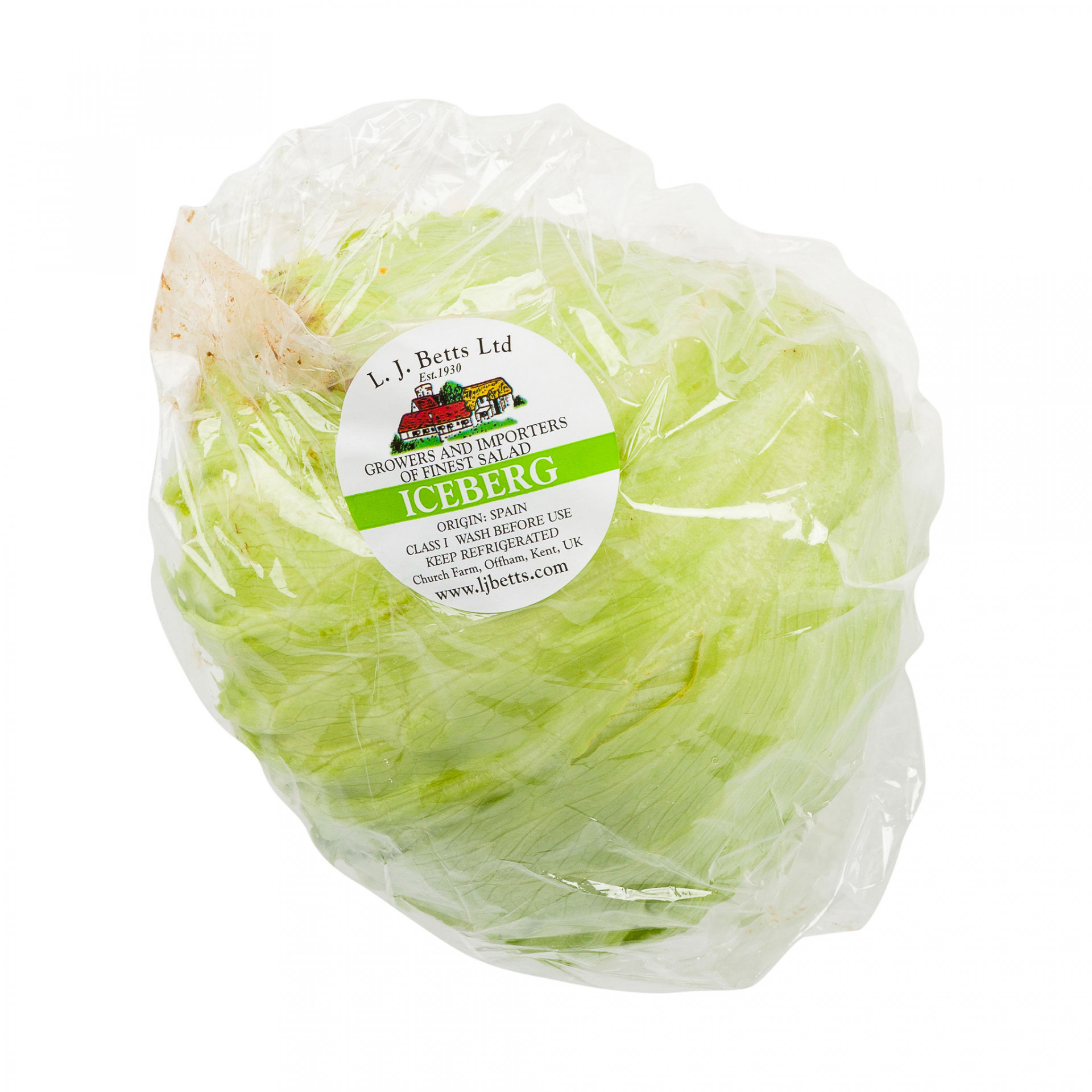 Lettuce Iceberg x 1 | Albion Fine Foods Ltd.