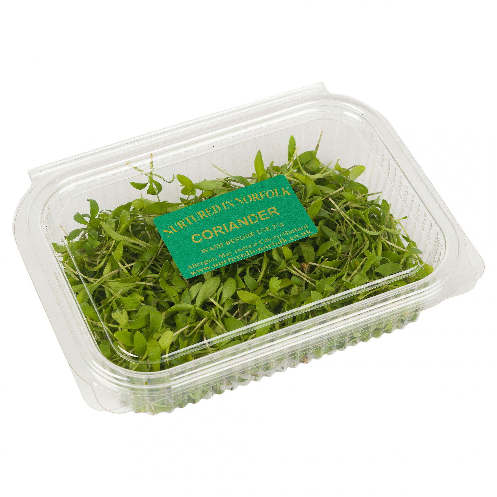 Micro Coriander, Punnet 25g | Albion Fine Foods Ltd.