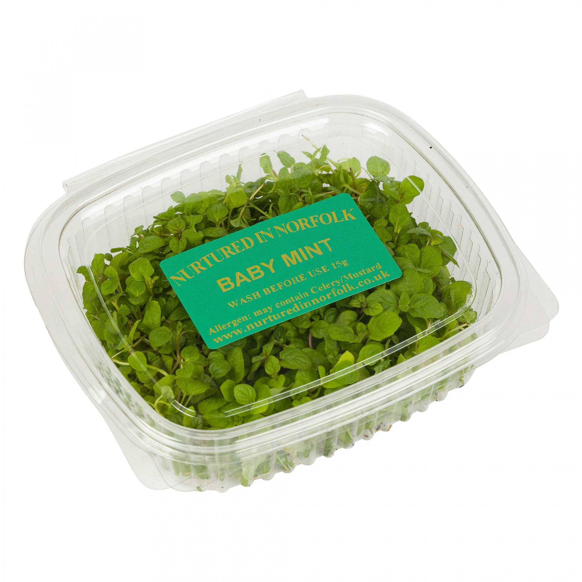 Micro Mint, Punnet 25g | Albion Fine Foods Ltd.