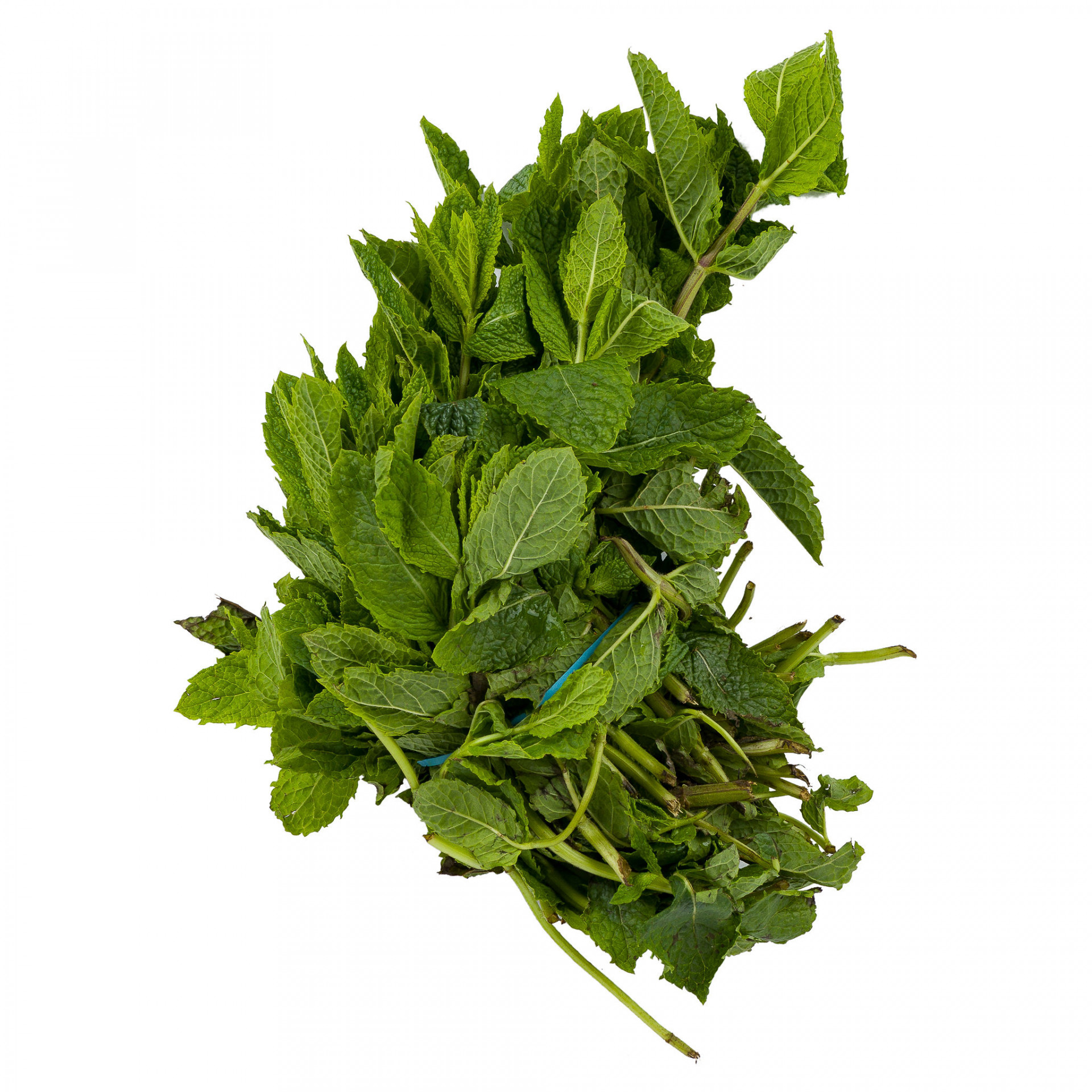Mint Bunch 100g | Albion Fine Foods Ltd.