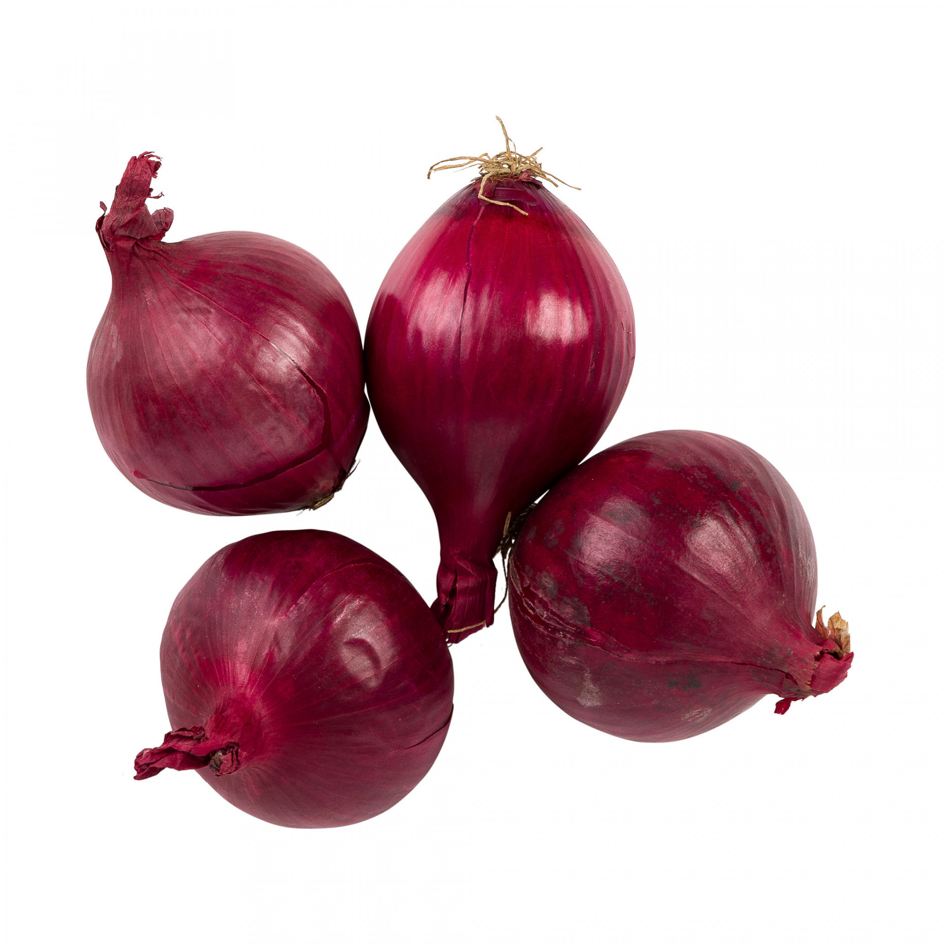 Red Onions per kilo | Albion Fine Foods Ltd.