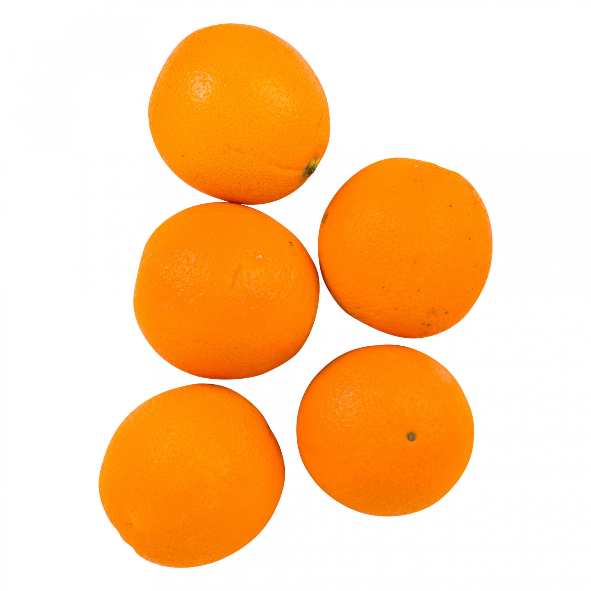 Oranges per kilo | Albion Fine Foods Ltd.