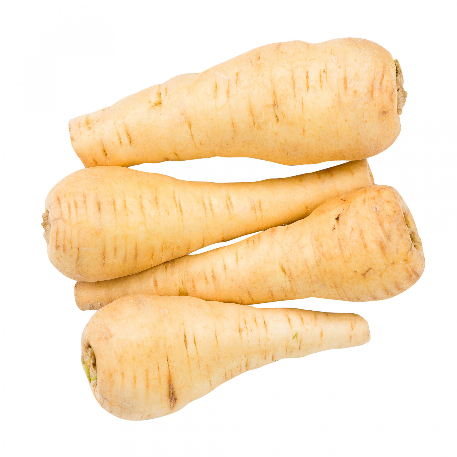 Parsnips per kilo | Albion Fine Foods Ltd.