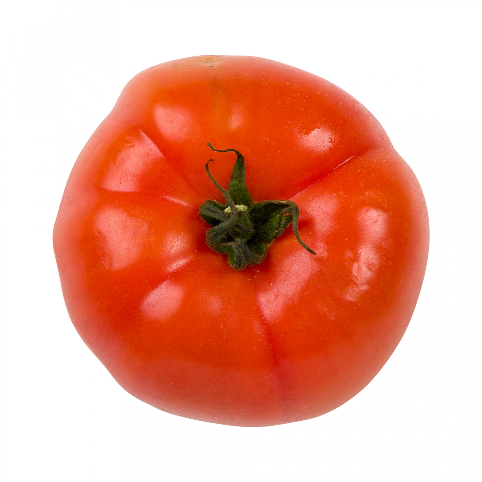 Tomatoes Beef x 1 | Albion Fine Foods Ltd.